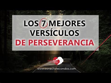 El Profundo Significado De Marta Amor Fortaleza Y Perseverancia En