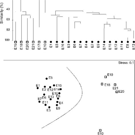 Cluster Classification And Mds Ordination Of The Stations According To