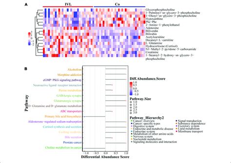 Characteristics Of 16 Identified Metabolites A Heatmap