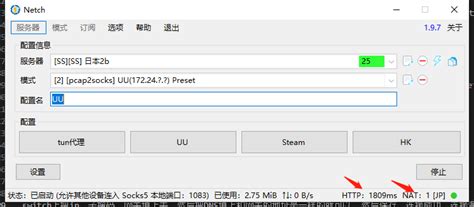 netch加速switch zzz记忆