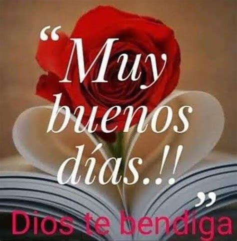 Pin By Palmira Iriarte On Fondo De Pantalla Animado Beautiful Rose