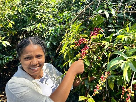 Lidya Kebede On Linkedin Merry Christmas 🎄 Happy New Year New Year