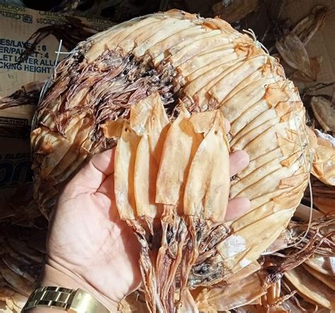 Ka Daing Pusit Buo From General Santos City Is Available