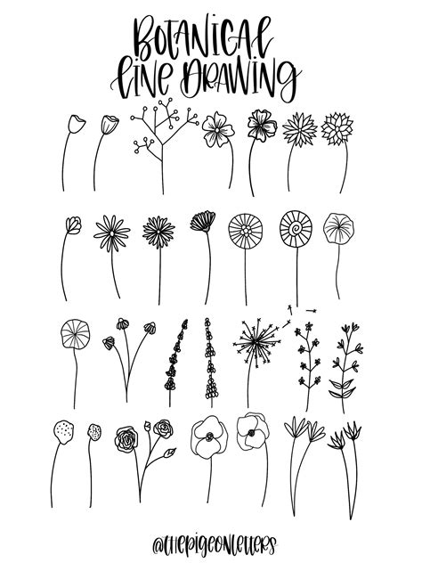 Botanical Line Drawing Of Doodle Flowers