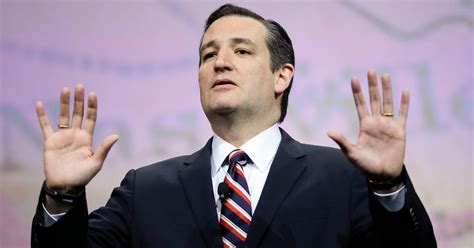 Ted Cruzs Strange Gun Argument The New York Times