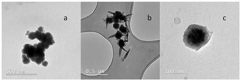 Molecules Free Full Text Magnetic Core Shell Nanoparticles Using Molecularly Imprinted