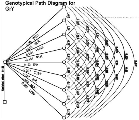 Path Diagram Showing Reation Between Yield With Its Componets Download Scientific Diagram
