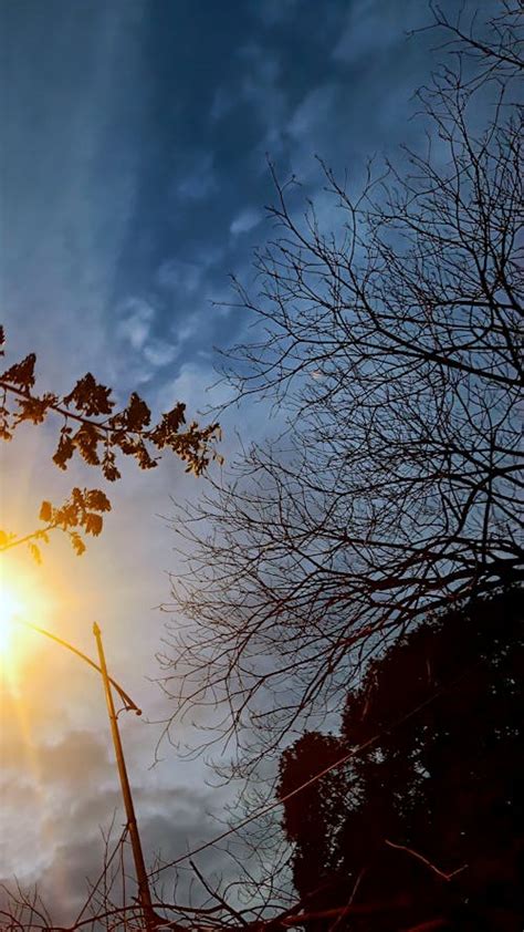 Madhura Patil การถ่ายภาพ