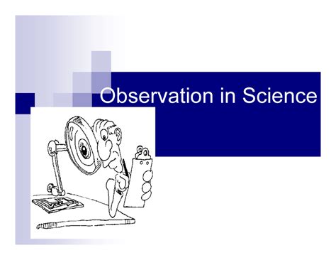 Observation Inference Prediction Problem Observation In Science Review Activity Warm Up In