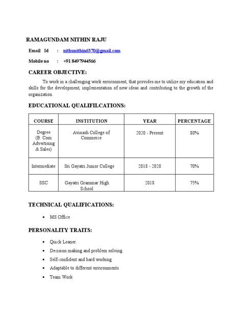 pavan kumar resume pdf