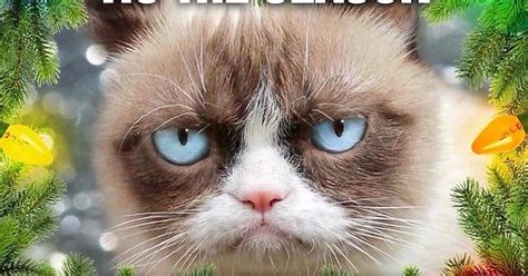 Have A Grumpy Dumpy Christmas Album On Imgur