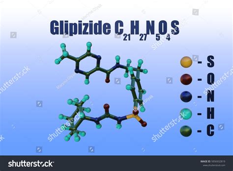 Structural Chemical Formula Molecular Model Glipizide Stock Illustration 1856932819 Shutterstock