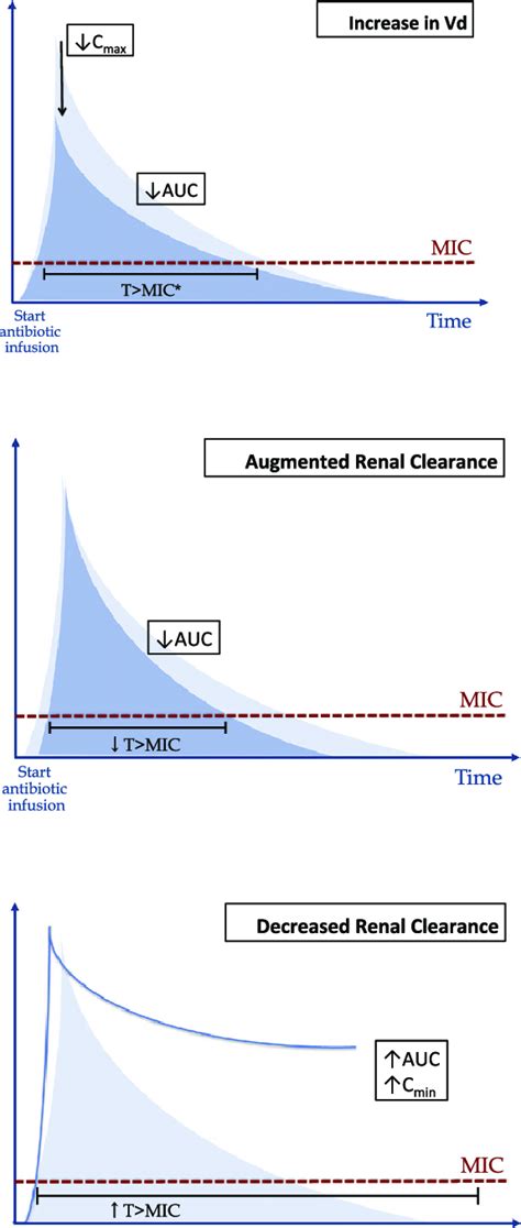 Concentration Time Curves Illustrating The Download Scientific Diagram