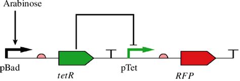 Figure 1 From Temporal Logic Inference For Classification And