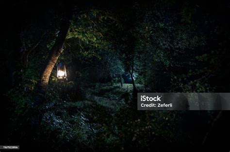 ホラーハロウィーンのコンセプト夜に森の中で古いオイルランプを燃やす悪夢のシーンの夜景 かすみのストックフォトや画像を多数ご用意 かすみ
