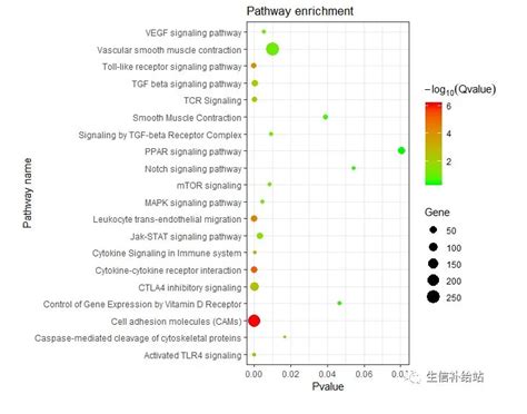 Ggplot2 绘制kegg气泡图 阿里云开发者社区