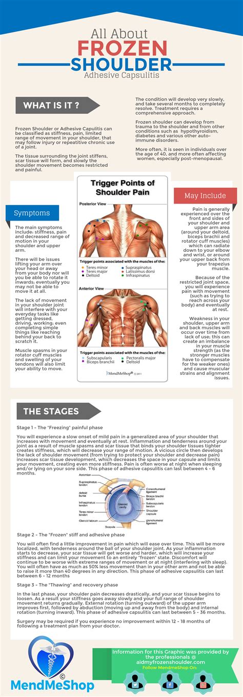 Printable Frozen Shoulder Exercises Pdf Printable Templates