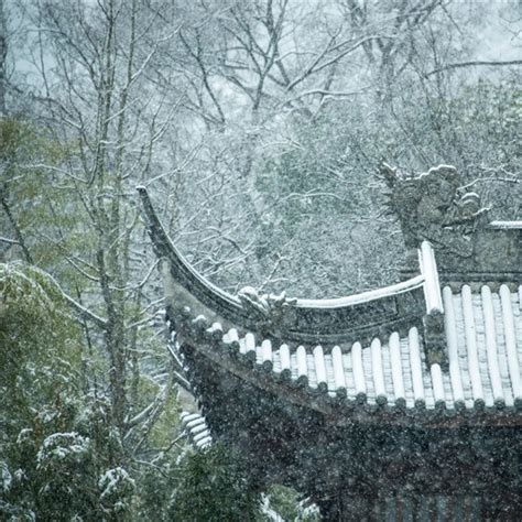二十四节气大雪好将一点红炉雪 散作人间照夜灯