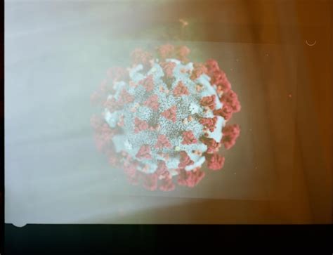 Is This A Lab Leak Issue Ranalogcirclejerk