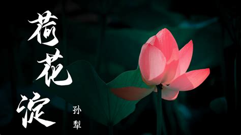 81 荷花淀 课件共58张ppt 21世纪教育网