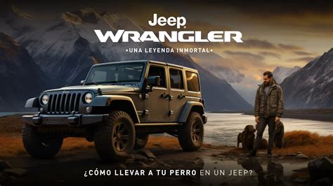 Cómo llevar a tu perro en un JEEP