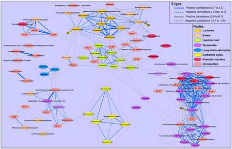 Metabolomic Correlation Network Analysis The Main Clusters Identified