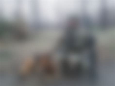 Сегодня вся наша страна отмечает День Героев Отечества Мы вспоминаем тех кто защищал нашу