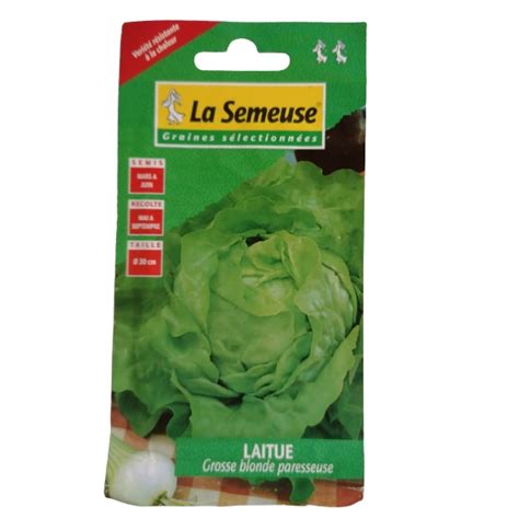 Seminte Salata Verde La Semeuse Laitue Grosse Blonde Paresseuse 4gr