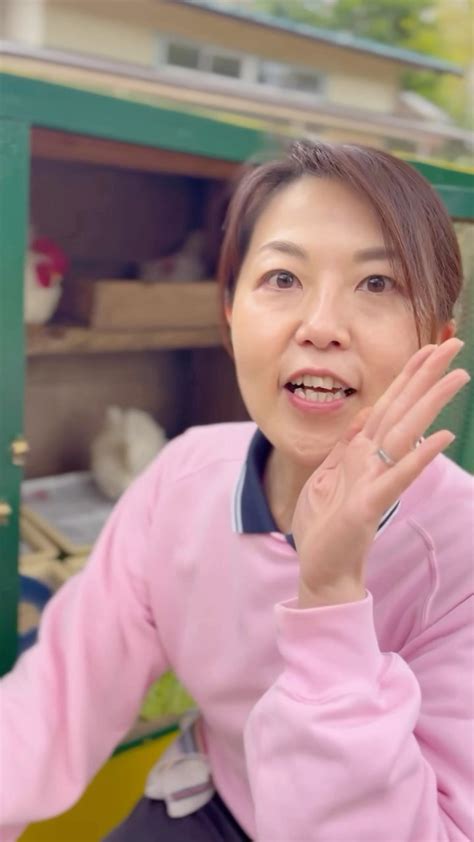 🐓にわとりのいる幼稚園🐓 江戸川区にある押上第二幼稚園にきてみせんか？ 木造の園舎と自然あふれる園庭には 子どもたちの元気な声が響いています