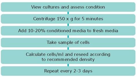 Cell Culture Protocol 5 Subculture Of Suspension Cell Lines