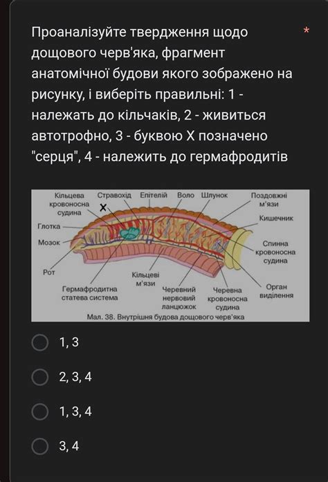 Люди добрі допоможіть 100 баллів даю Школьные Знания Com