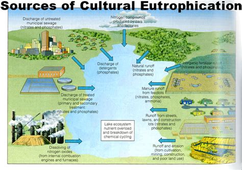 Biosphere Atmosphere And Hydrosphere Eutrophication