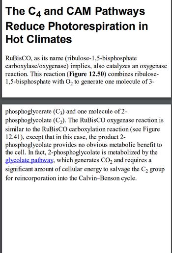 Answered Describes The C4 Pathway Write A 1 2 Paragraph Narrative Discussing In General The