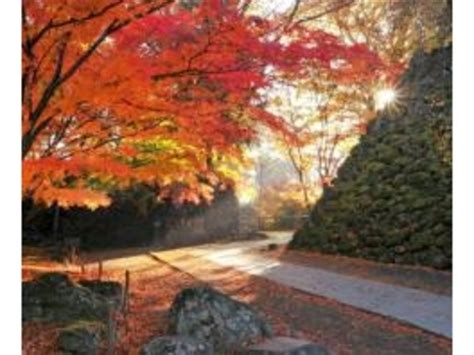 【小諸城址懐古園紅葉まつり】アクセス・イベント情報 じゃらんnet