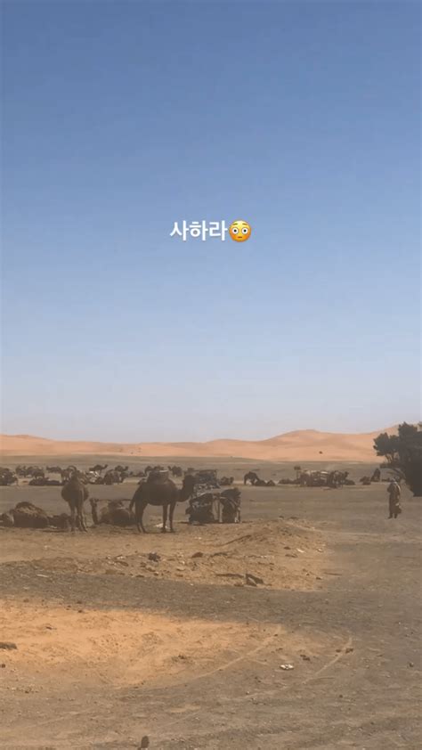 모로코사하라사막 여행기 음식여행 에펨코리아
