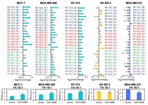 Research︱清华大学欧阳证 马潇潇团队利用结构脂质组学技术揭示乳腺癌细胞的单不饱和脂质代谢重塑 知乎