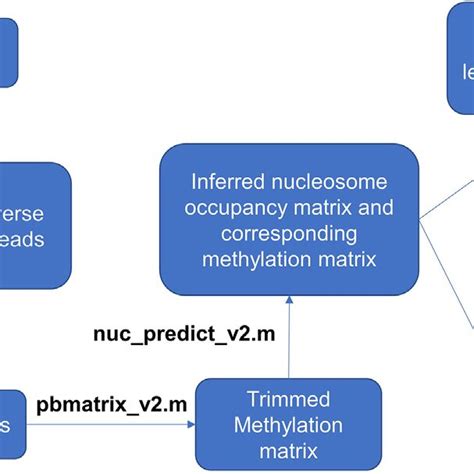 the pipeline for nucleosome prediction from bisulfite pacbio sequencing