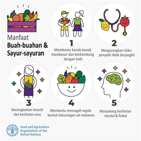 5 MANFAAT BUAH BUAHAN SAYUR SAYURAN Persatuan Pengguna Penang