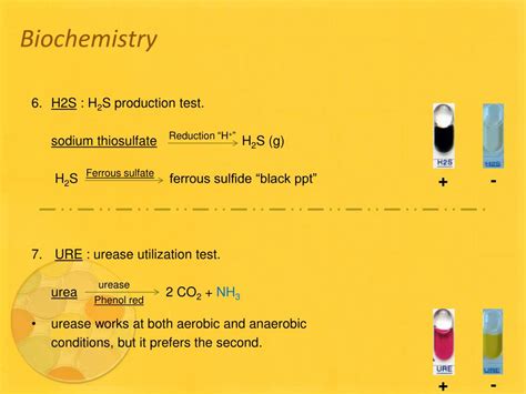 Ppt Api 20e Powerpoint Presentation Free Download Id1935601