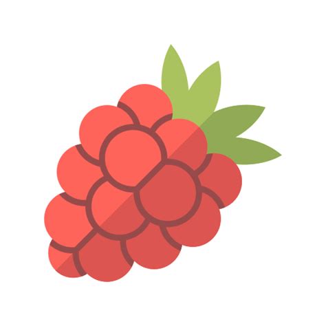 Raspberry Generic Flat Icon
