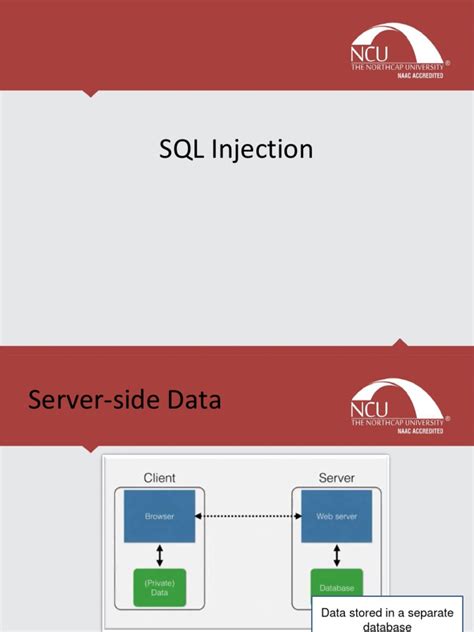 Sql Injection Pdf Database Transaction Sql
