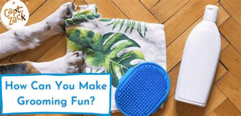How Can You Make Grooming Fun