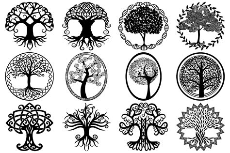 Tree Of Life Silhouettes AI EPS Vector PNG 154061 Illustrations