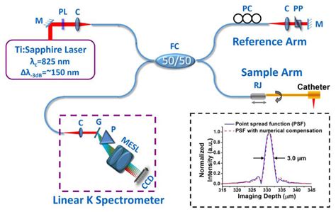 Schematic Of The Ultrahigh Resolution Spectral Domain Endoscopic Oct