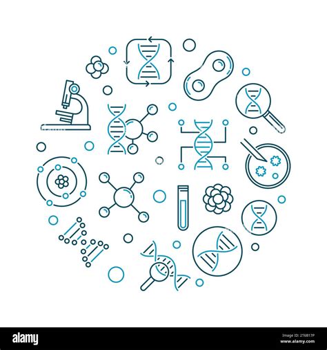 Genetic Information Vector Round Modern Concept Illustration In Thin