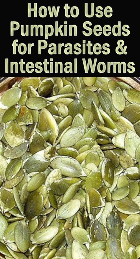 Pumpkin Seeds For Parasites And Intestinal Worms Healthy Lifestyle