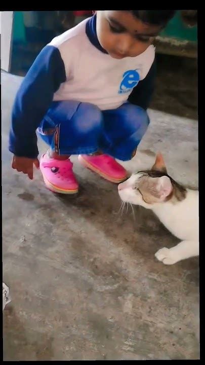 🐈😂माऊ सिया सोबत नाही बोलत । सिया खुप त्रास देते मनुन माउ ला राग आला