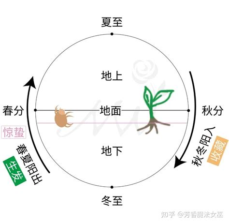 惊蛰节气详解中系芳疗探源 知乎