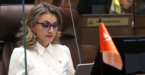 Proyecto de diputada del PLP evitaría reducción en los tramos de renta ante deflación Delfino cr