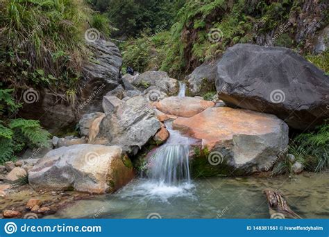 Corriente Rocosa Con Agua Clara En Una Monta A Paisaje Hermoso Del